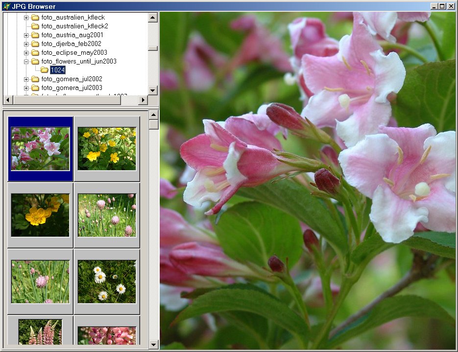 Sdl Delphi Component Suite Programming Examples